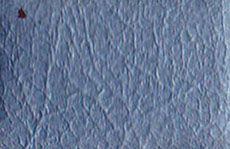 1963 REAR ARM REST COVERS BLUE-NON RETURNABLE (PR)